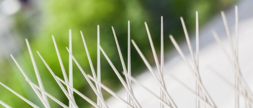 Bird Control Solutions | Rentokil PCI