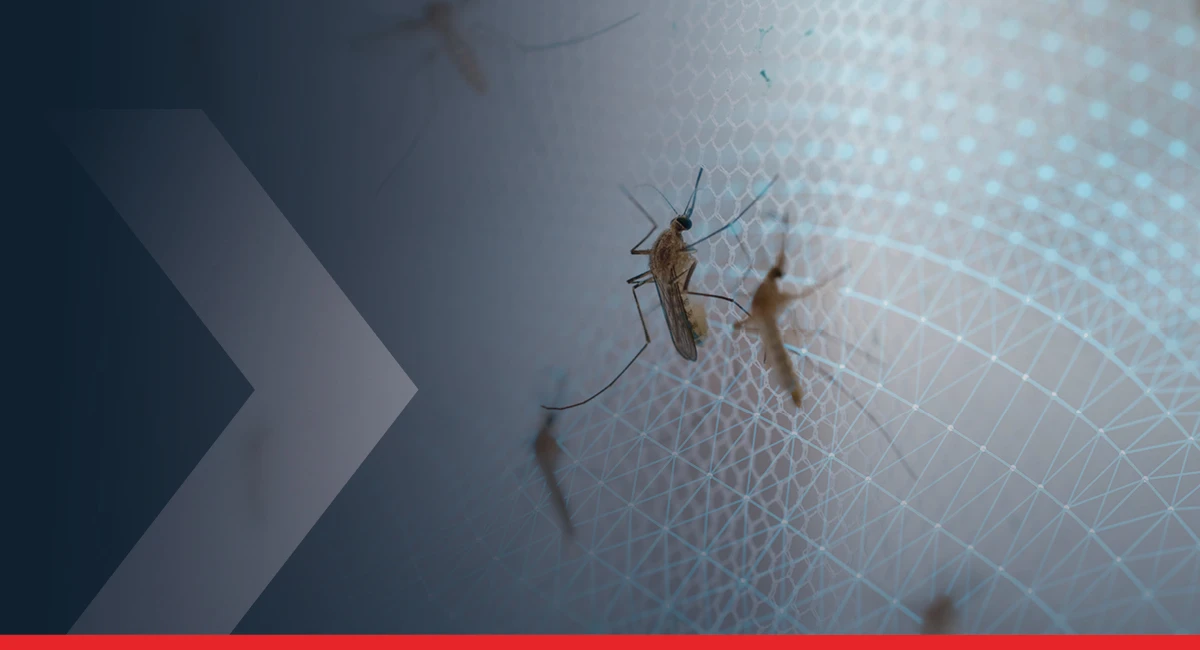 How to Get Rid of Mosquitoes at Home: Expert Tips & Prevention